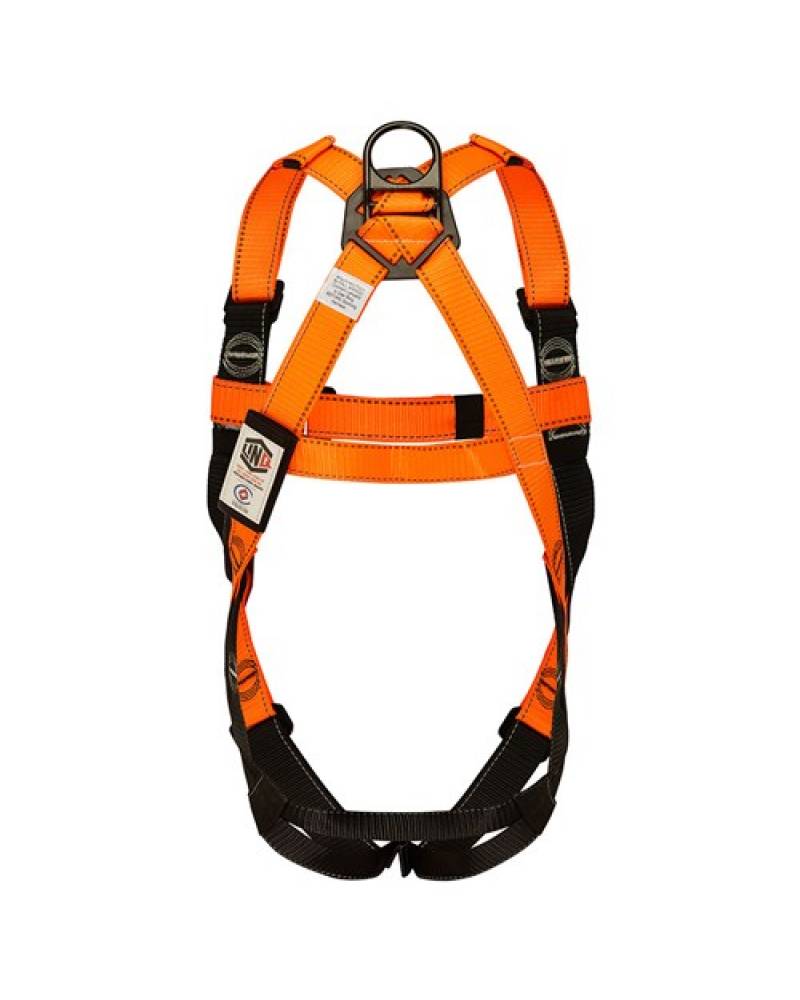 Full Body Harness with Low Anchorage